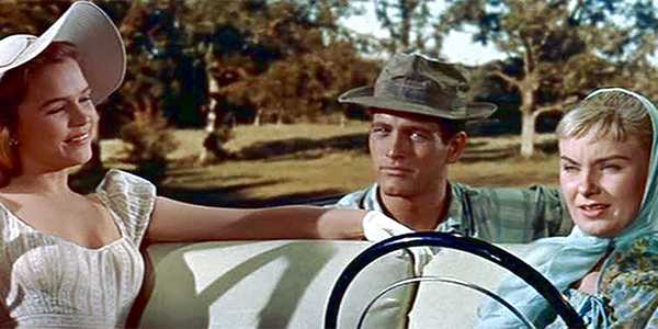 Films | Modern Art Museum of Fort Worth